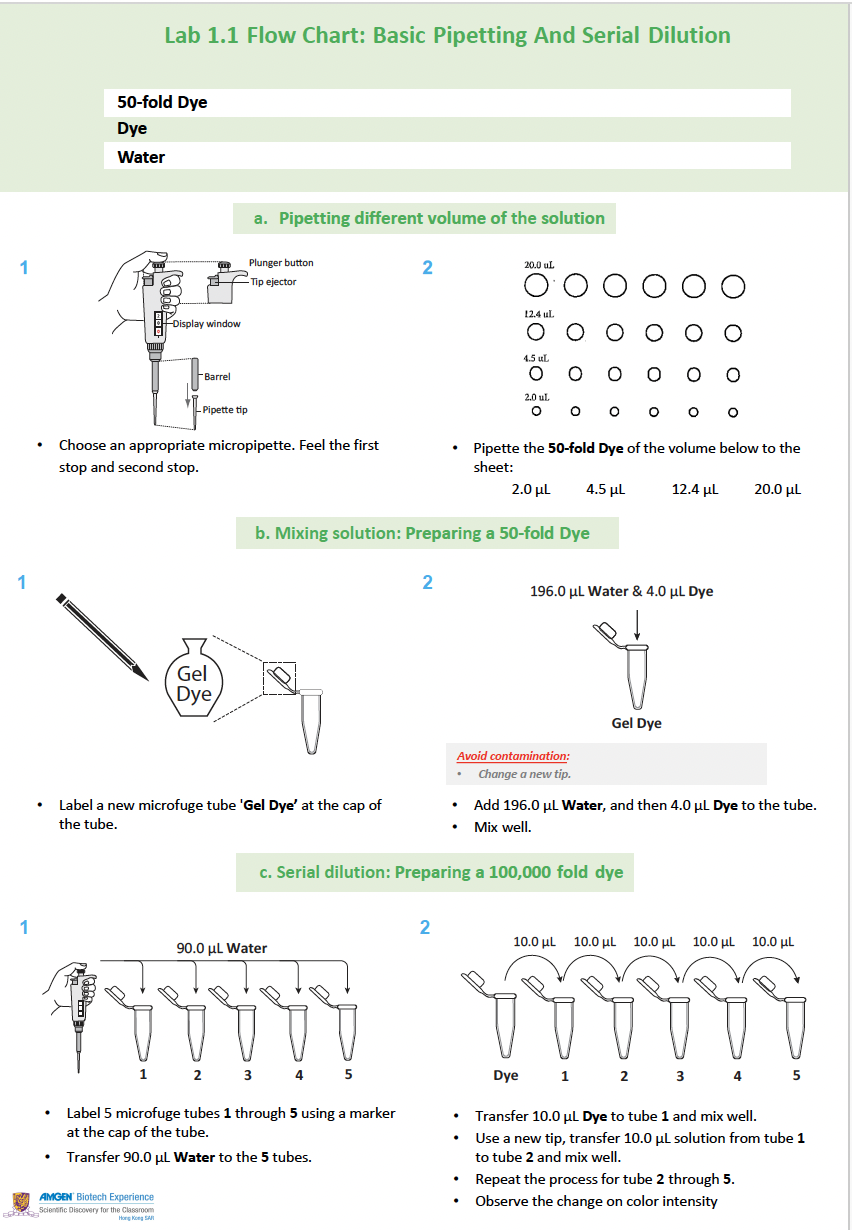 Foundations of Biotech Lab Flowcharts | Amgen Biotech Experience Foundations of Biotech Lab Flowcharts | Amgen Biotech Experience